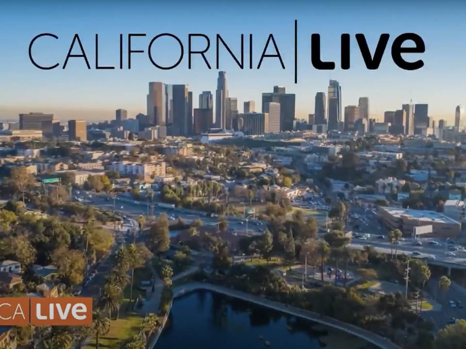 News | Deja Vu Cakes